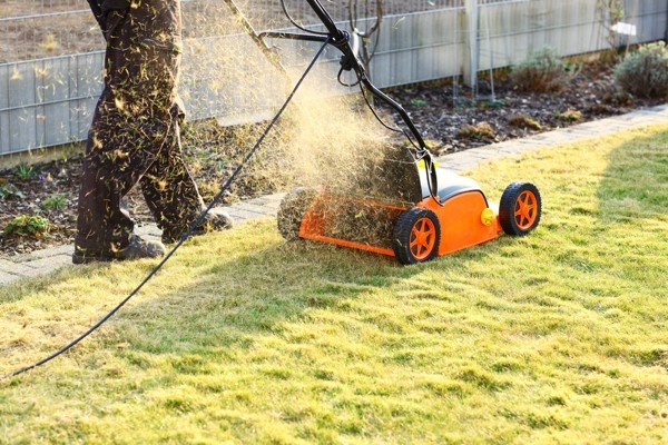 When to Scarify a Lawn