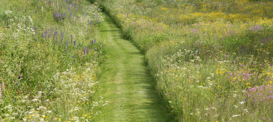 Turf for sale from quality turf suppliers Turfgrowers.