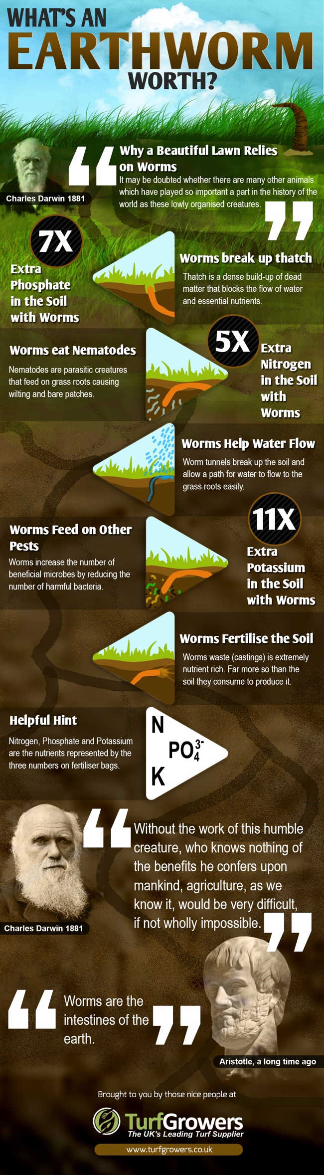 What s An Earth Worm Worth Infographic