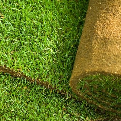 How to Lay Turf - Our Turf Laying Guide